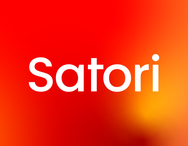 Satori Advisory Brand Guidelines